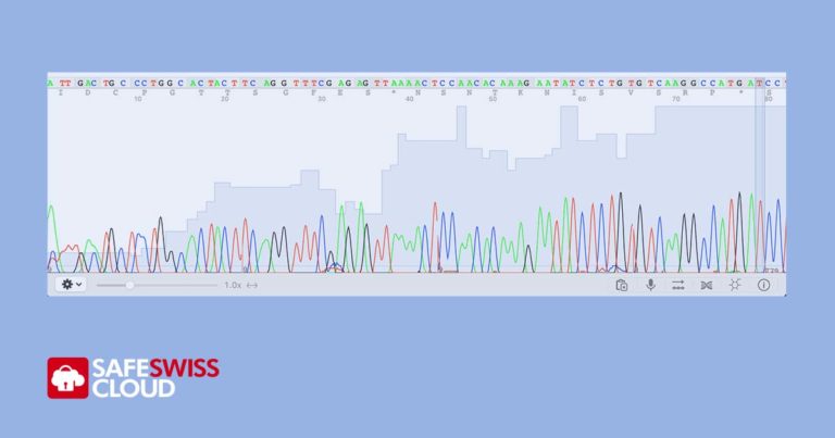 Cloud Computing and IT Security Services